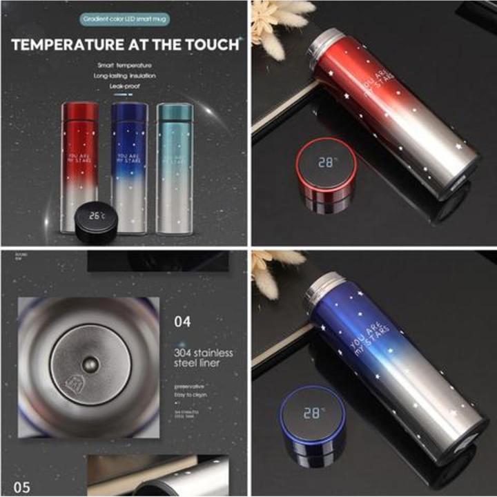 LED Temperature Display, Stainless Steel Insulated Vacuum Flask Thermos SMART Digital Mug 500ML ...