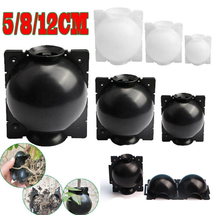 Garden Supplies Breeding Case Grafting Plant Rooting Botany Root ...