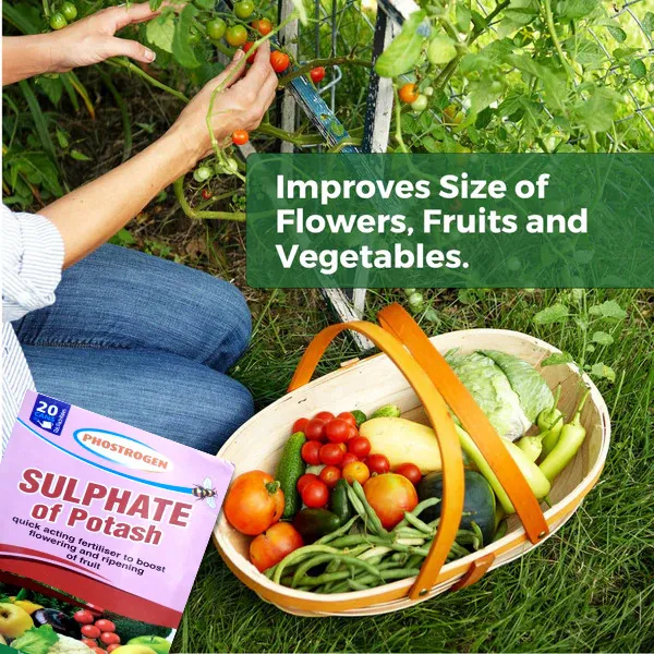 Sulphate of Potash (SOP) Water soluble fertilizer 250 gram | Daraz.pk