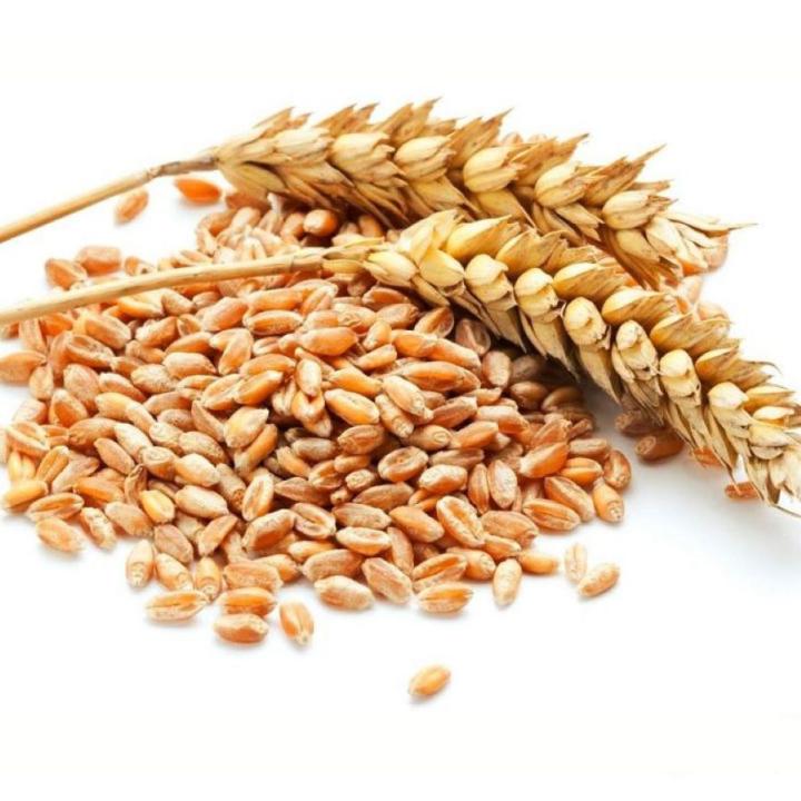 Wheat whole /Gandum ( 700 Grams ) Best quality | Daraz.pk