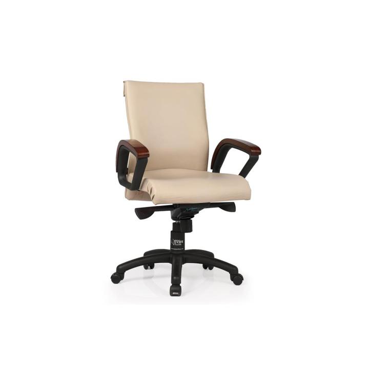 Master Genesis Low Back Chair Double Shell (Wooden Arm) | Daraz.pk