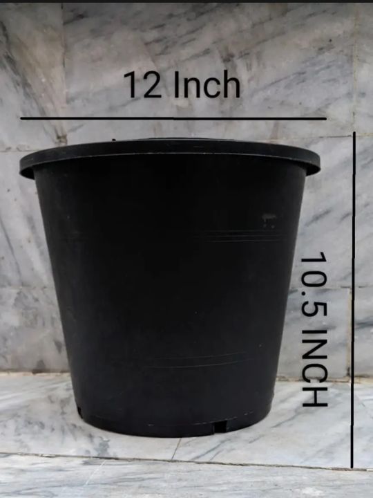 Extra Large Plastic 12inch Pot for Flowers and plants | Daraz.pk
