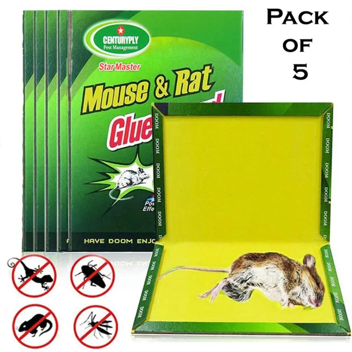 Pack of 5 Mouse Trap Rat Trap Catch Mouse Glue Traps Insect Lizard ...