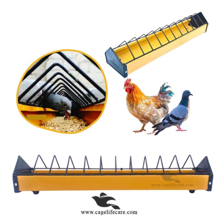 Premium Metal Feeding Tray – 2 Feet for Poultry, Pigeons, and Hens ...