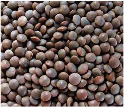 Sabut Daal Masoor - 1 KG Clean | Daraz.pk