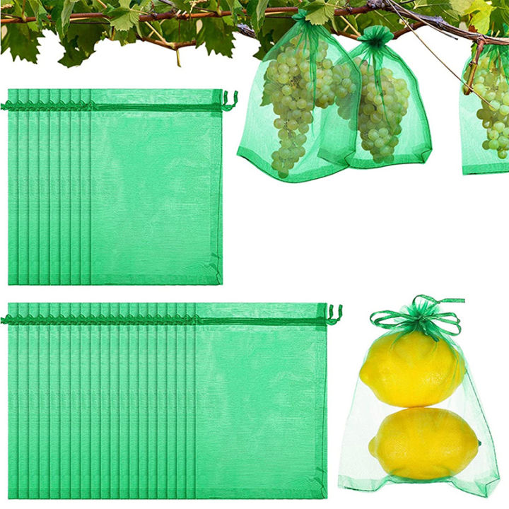 20Pcs Mesh Fruit Bag Strawberry Grapes Fruit Grow Bags Breathable ...