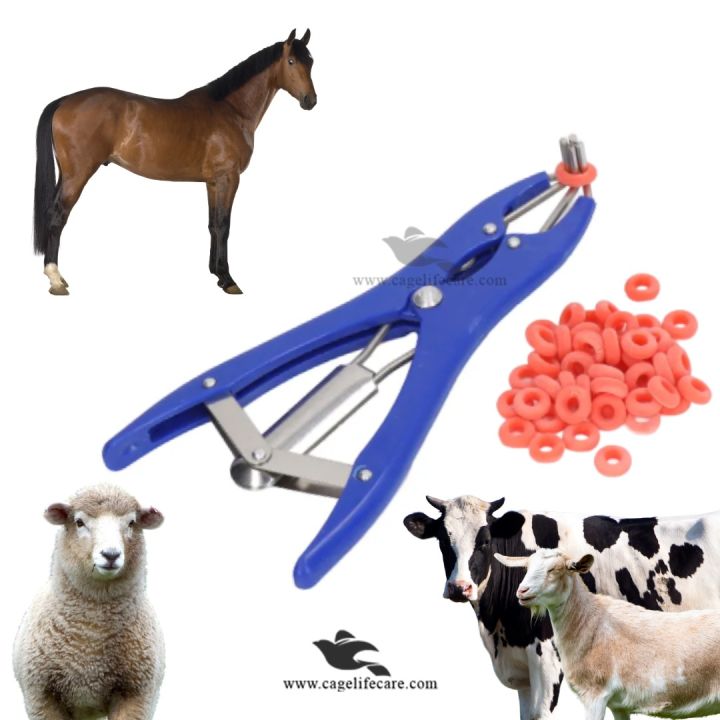 Castrator Plier Elastrator Tool – Castration & Tail Rings Applicator ( imported ) | Daraz.pk