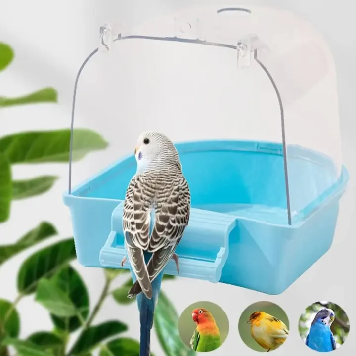 Birds bath Tub, Best bath option for parrots, finches and java and ...