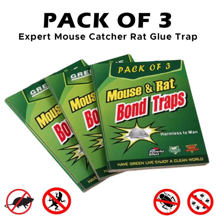 Pack Of 3 Mouse Glue Traps Glue Traps Sticky Boards Traps strong glue ...