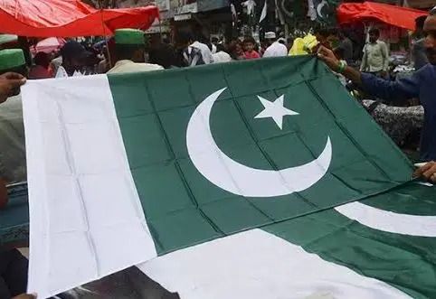 Pakistan Flag /Pakistani Jhanda High Quality Flag Original color High ...