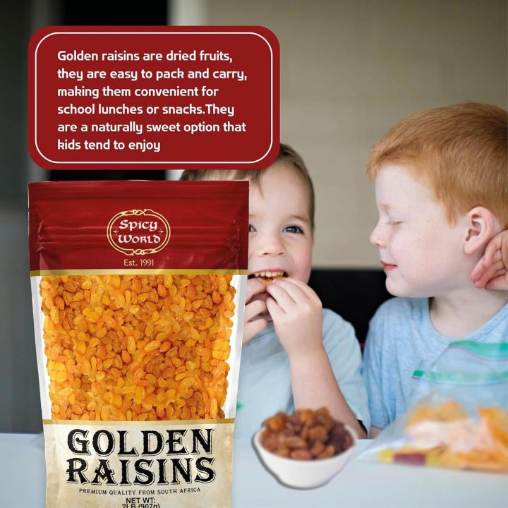 Generator Service Kit Spicy World Golden Raisins 2 LB Bulk Bag - Sweet ...