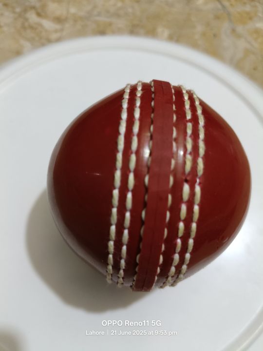 100g Practice Hard Cricket Ball | Red Leather Look Ball for Net ...