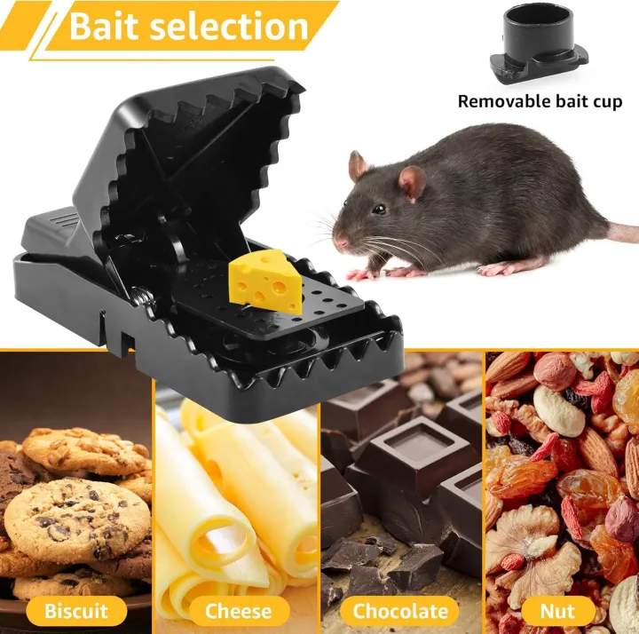 Mouse Trap , Rat Trap, Rat Trap, Trap, Repeatedly, Reusable, Strong ...