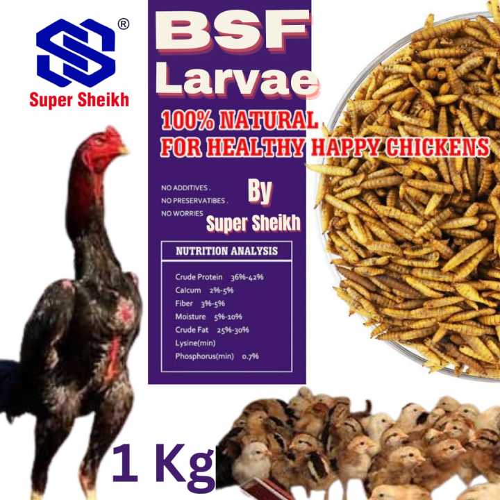 Bsf (Dried Larvae) 1kg Meal Worms - Protein Bites - black soldier fly ...