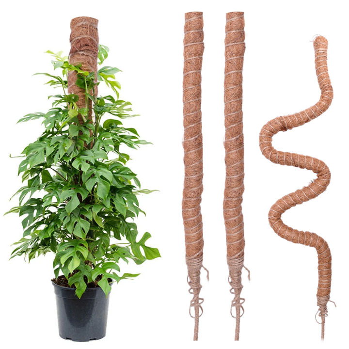 70/100/120Cm Flexible Garden Coconut Palm Rod Sticks Moss Pole Stick ...