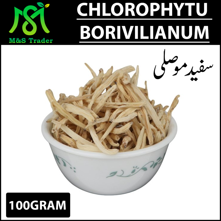 Safaid _Musli / Chlorophytum Borivilianum Whole / White _Musli 100g ...