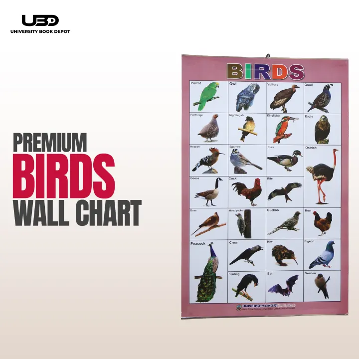 Birds Name Wall Chart for Classrooms | Bird Names with HD pictures on ...