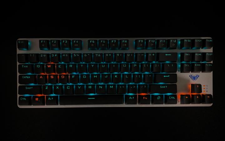 AULA F3287 Rainbow Backlight TKL Tenkeyless Mechanical Wired USB Gaming ...