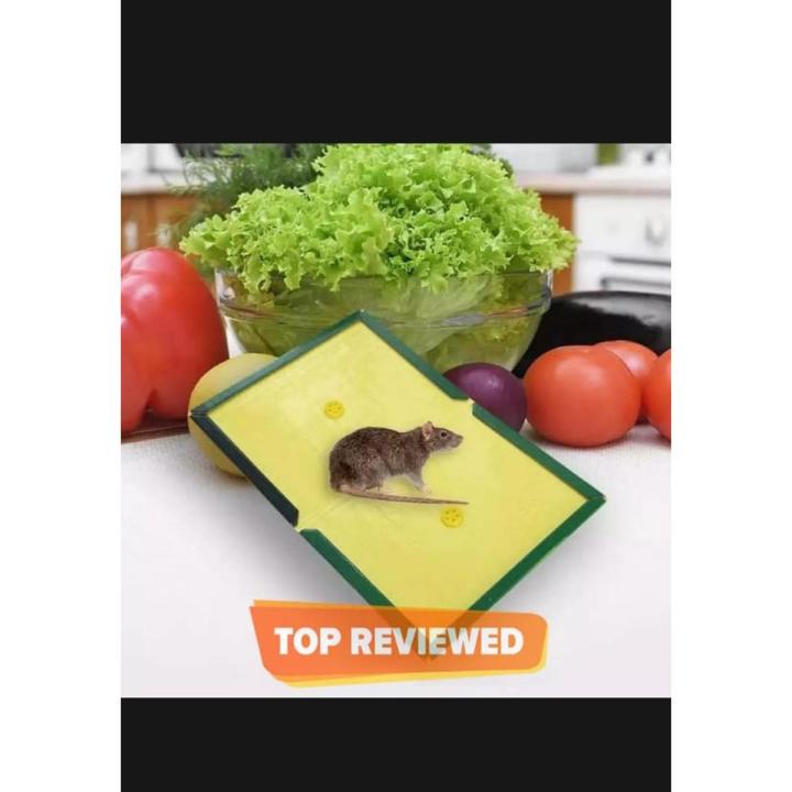 PACK OF TWO 02 TRENDirella Reusable Expert Catch Mouse Glue Traps Mouse ...