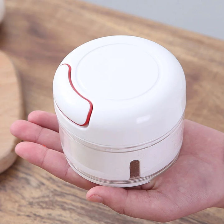 Mini Garlic Chopper – Multifunctional Hand-Held Food Chopper | USB ...