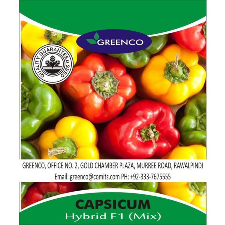 Mix Colour Bell pepper Capsicum شملہ مرچ F1 Seeds | Daraz.pk