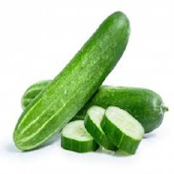 Cucumber ( Khera) Vegetable seeds | Daraz.pk