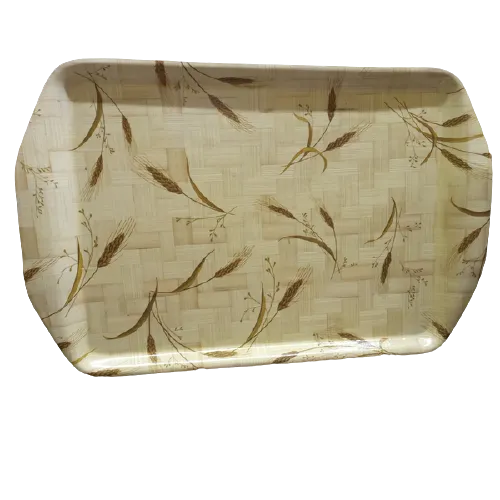 Fiber Plastic Serving Tray | Daraz.pk