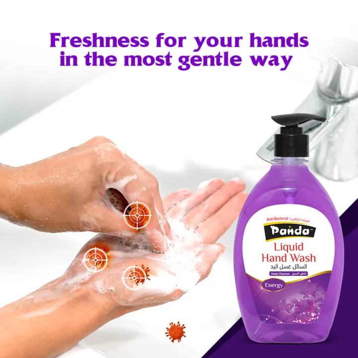 Panda Liquid Hand Wash Energy 500ML Antibacterial Liquid Handwash ...