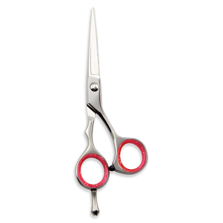 BrushnBlade Professional 5.5-Inch Hairdressing Scissors – Stainless ...