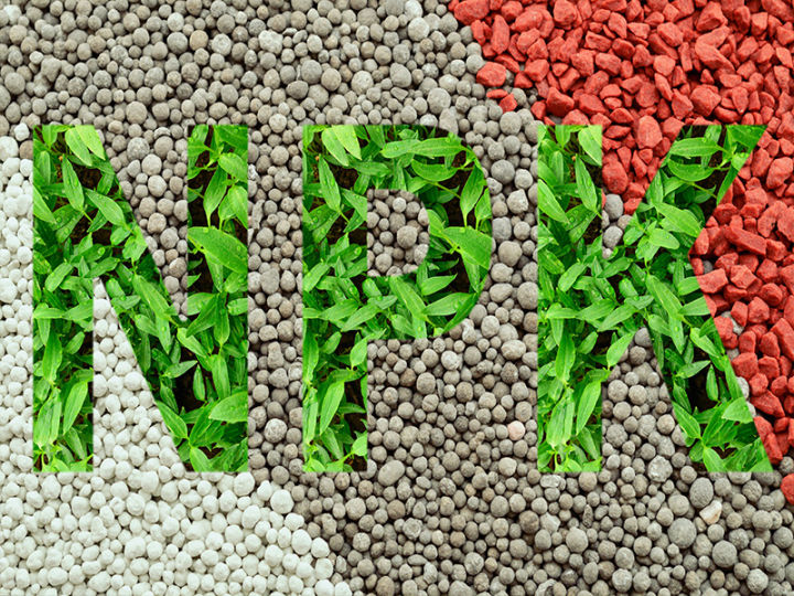 NPK Imported Fertilizer 1Kg | Daraz.pk