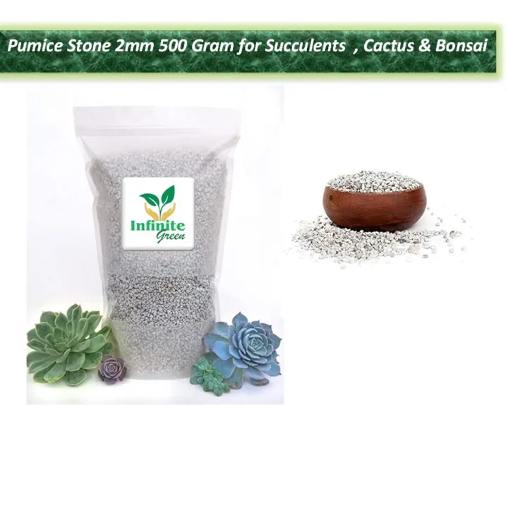 Pumice Stone for Cactus, Succulent & Bonsai Soil Mix - 2 MM Lava Rock ...