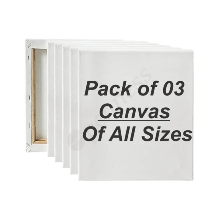 Pack of 3 Canvas for Painting - All sizes For Painting Blank White ...