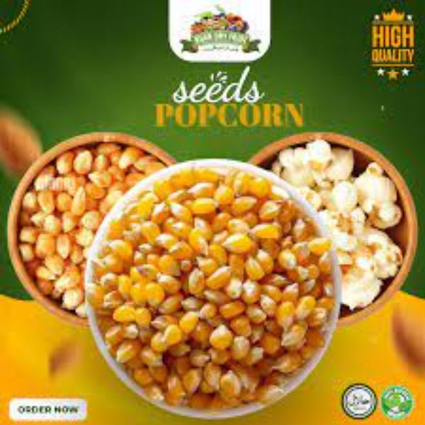 Premium Popcorn Seeds – 1kg Pack: Perfect for Movie Nights and Snacking ...