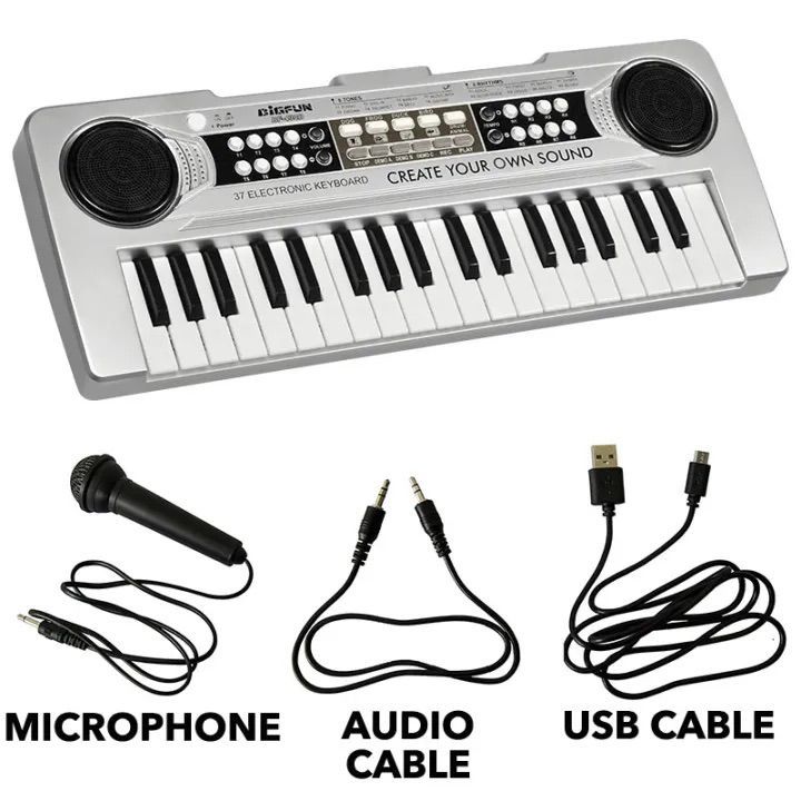 Instruments for Music Entertainment Development | 37 Key Musical ...