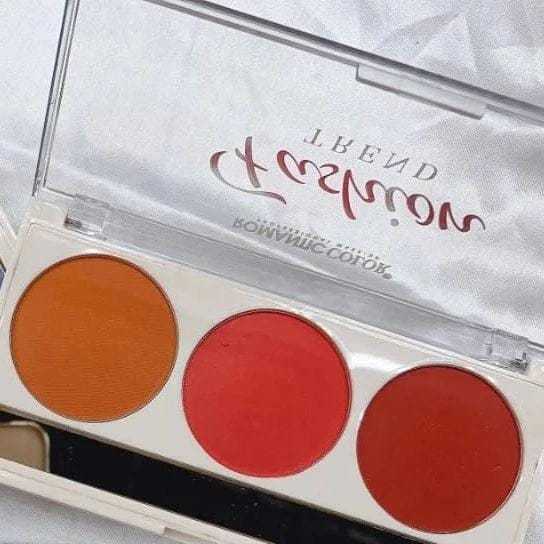 3 Color Professional Blush Palette – Smooth, Long-Lasting & Natural ...