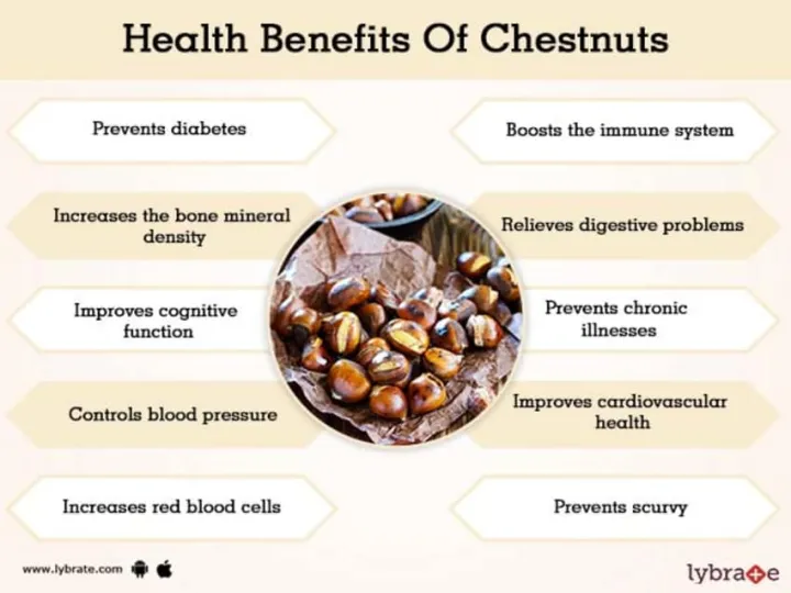Horse Chestnut Extract Powder 100g | Daraz.pk