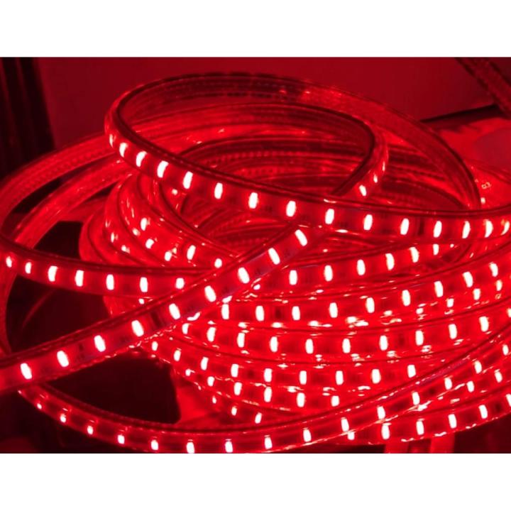 1 Metre Fancy Decoration Rope RED Color LED's Light with 220v Adapter ...