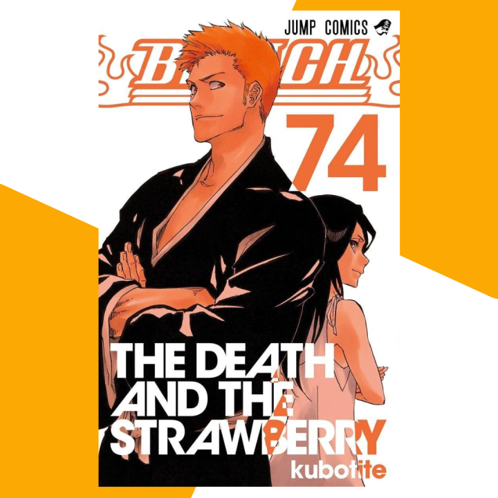 Bleach (Volume 74) | Daraz.pk