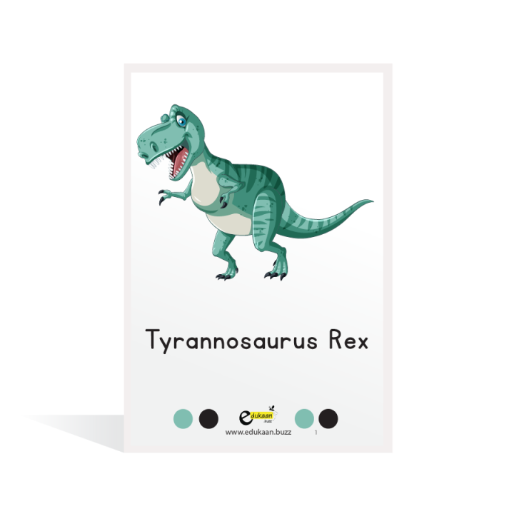 DINOSAURS FLASH CARDS | Daraz.pk