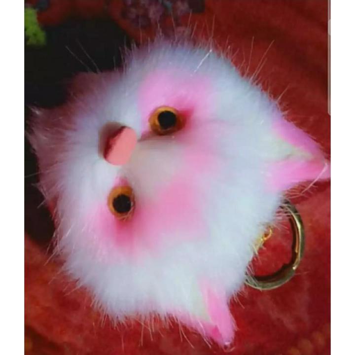 Pack of 2 Beautiful Furry Cute Face Key-chain Original key Ring | Key ...