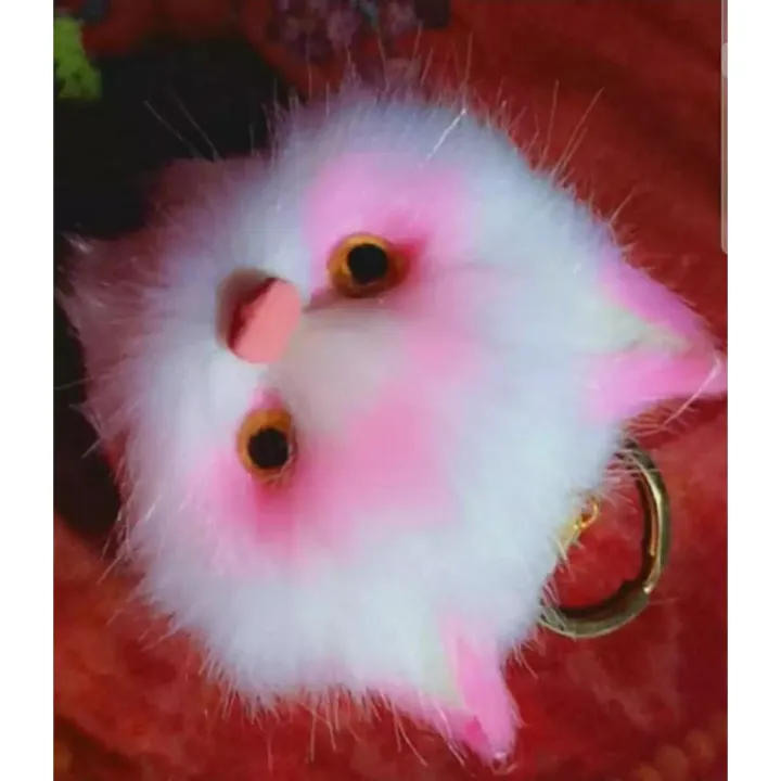 Pack of 2 Beautiful Furry Cute Face Key-chain Original key Ring | Key ...