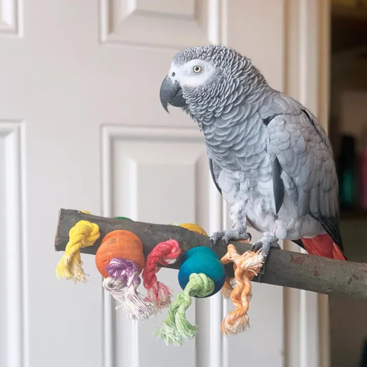 UK Bird Toys Preening Perch Wood & Rope Parrot Toy Natural Wood Bird ...