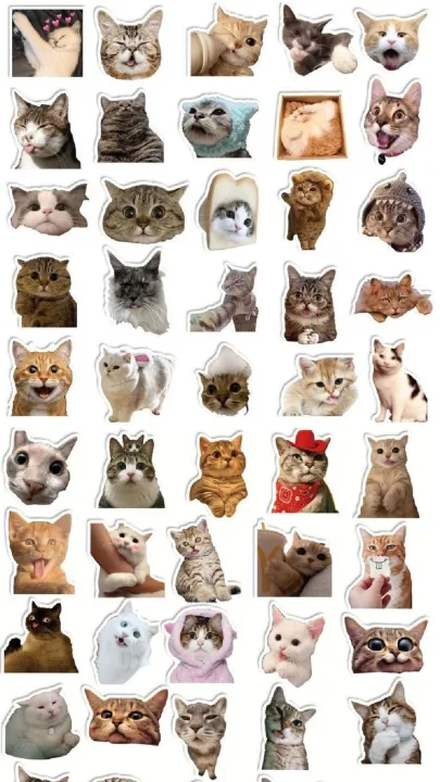 Funny Cat Expressions Sticker Pack (10x15 cm | PVC Uncut) | Meme Cats ...