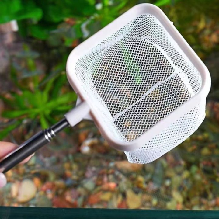 Fishing Gear Stainless Steel Aquarium Square Fishing Net Long Handle ...