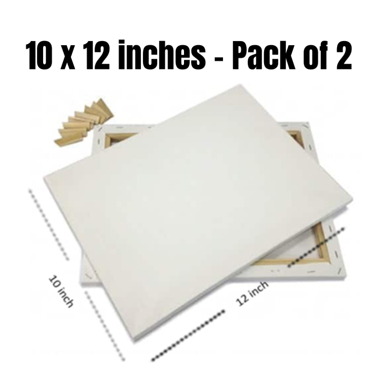 Pack of 2 - Square Canvases 10 x 12 For Painting, Canvas Boards, Canvas ...