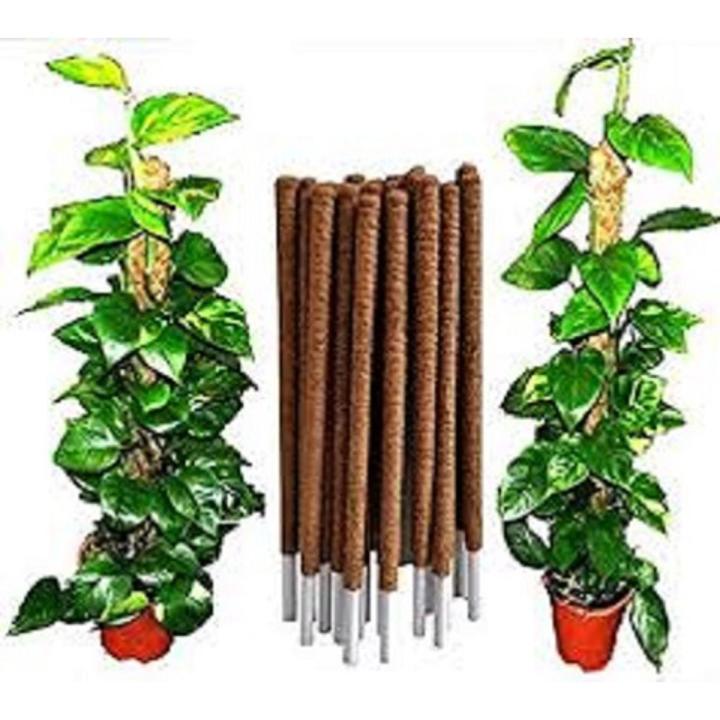 Coconut Plant Stick - 3Ft Pack of 4 Root Bridges Coco Moss Stick Pole ...