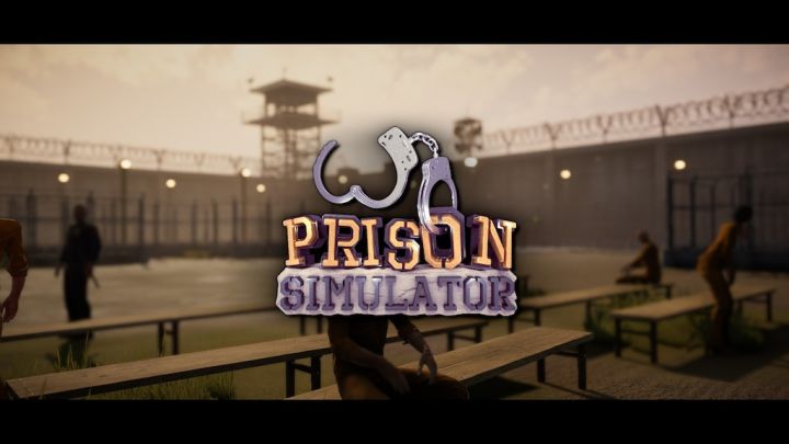 Prison Simulator (PC GAME) OFFLINE GAME - DVD - | Daraz.pk