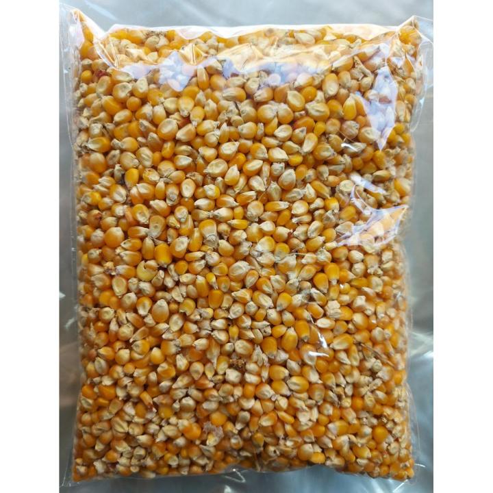 Popcorn Fresh 1Kg | Daraz.pk: Buy Online at Best Prices in Pakistan ...