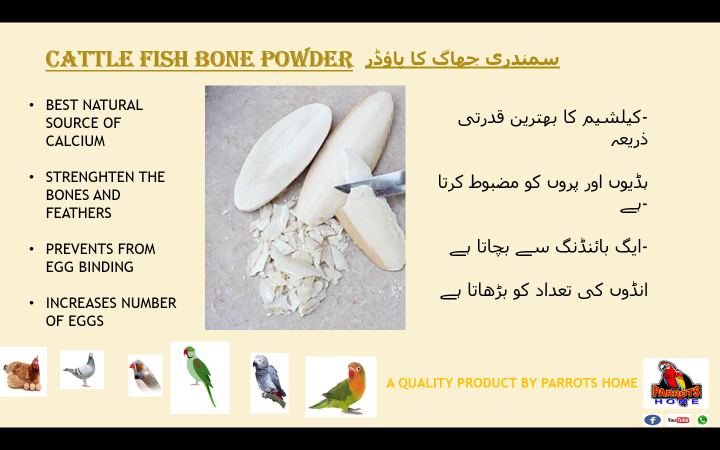 Cattle Fish Bone Powder | Daraz.pk