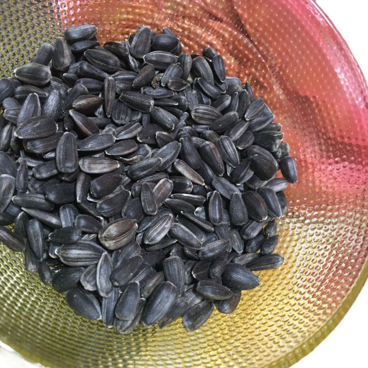 250G Organic Sunflower Seeds Suraj mukhi Birds feed for budgies ...